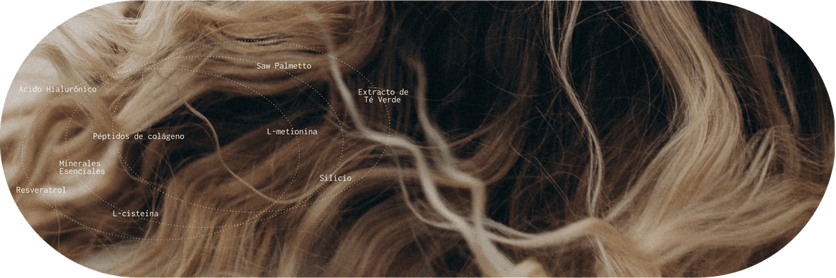 Comprar | Olin